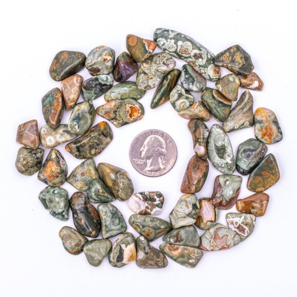 Tree Of Life Gems | Office | 4 Lb Tumbled Rainforest Rhyolite Jasper ...